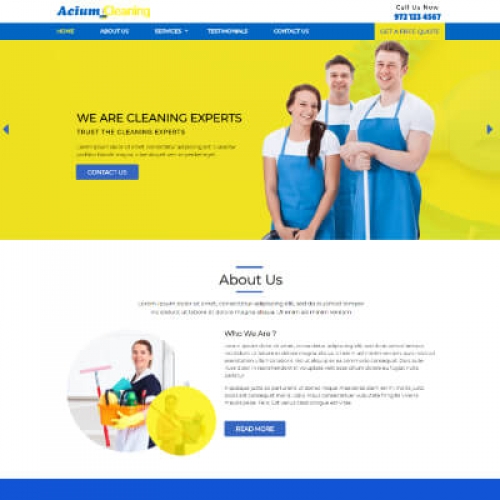 Professional Cleaning Business Website Design at $39/mo. | Lease A Website